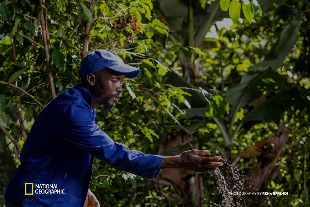 How does a coffee expert taste a coffee? - Nespresso Pro