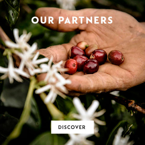 Gemini 220 Professional Coffee Machine - Nespresso Pro